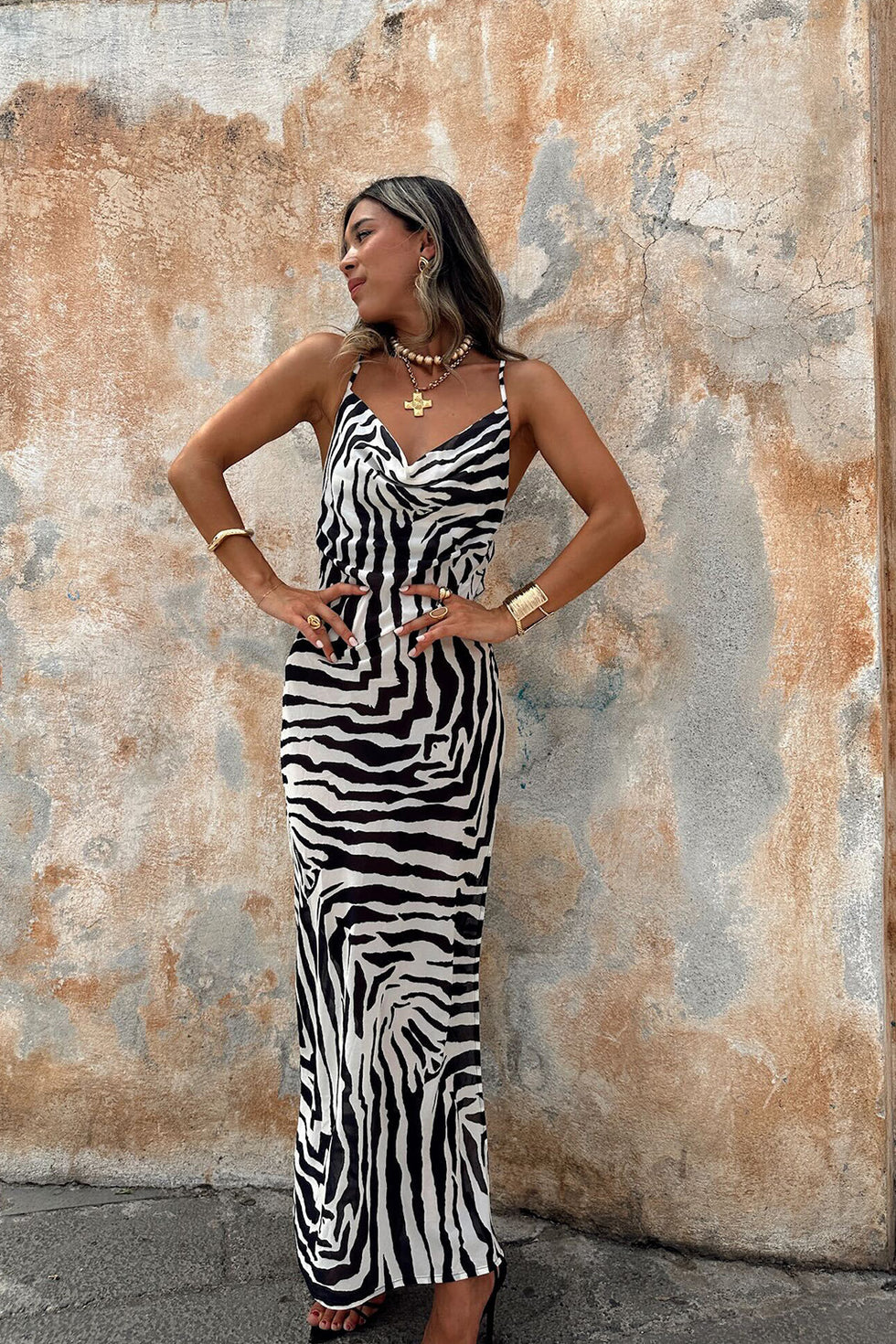 Gianna Zebra Cowl Neck Chiffon Maxi Dress – 12th Tribe